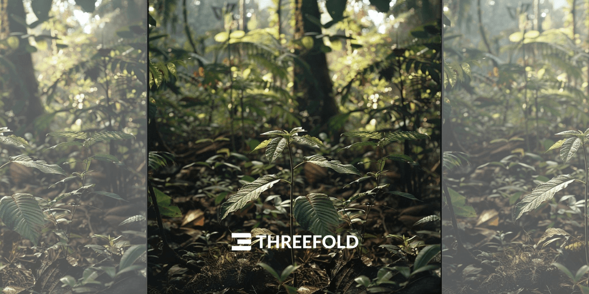 ThreeFold